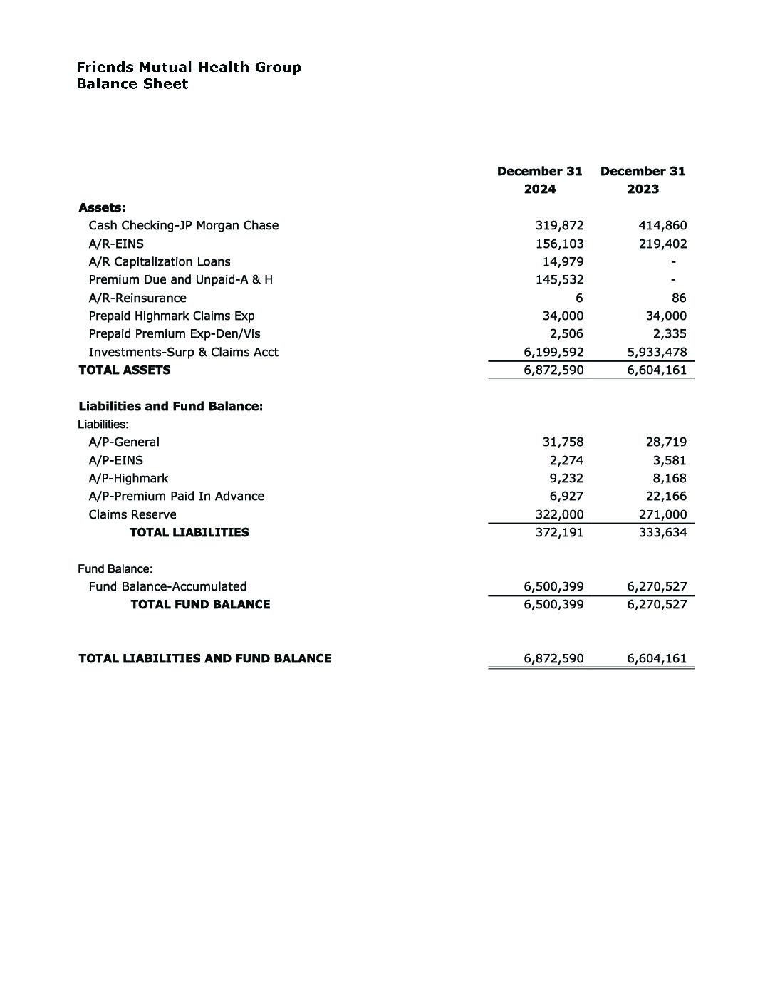 2024 Q4 Financial Statement | Friends Mutual Health Group